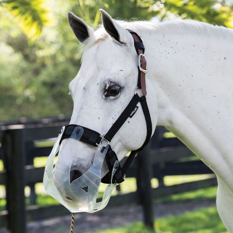 Panier de Pâturage ThinLine: Confort et Liberté pour Votre Cheval ...
