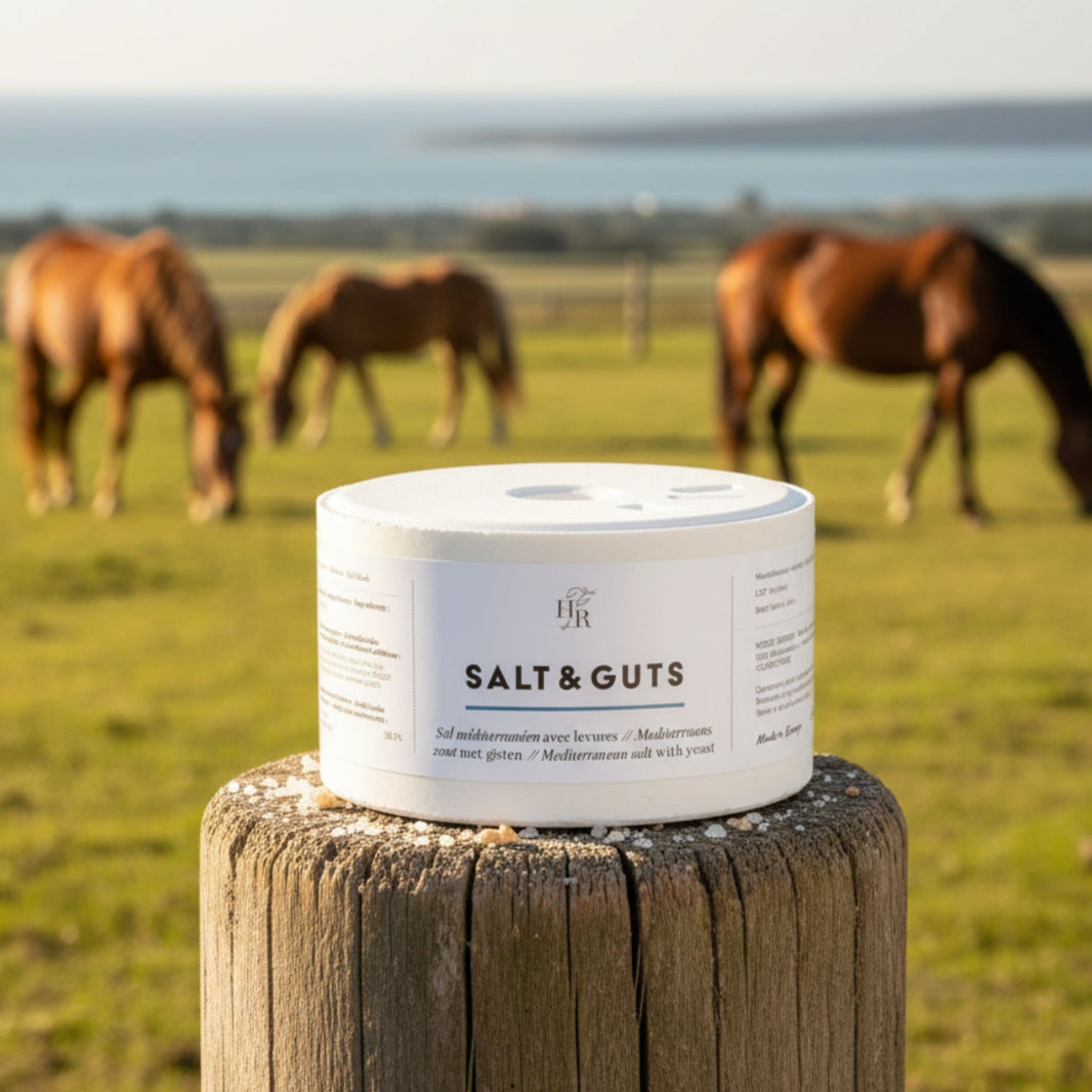 La référence bien-être au naturel pour votre cheval - Horse Remedy SRL